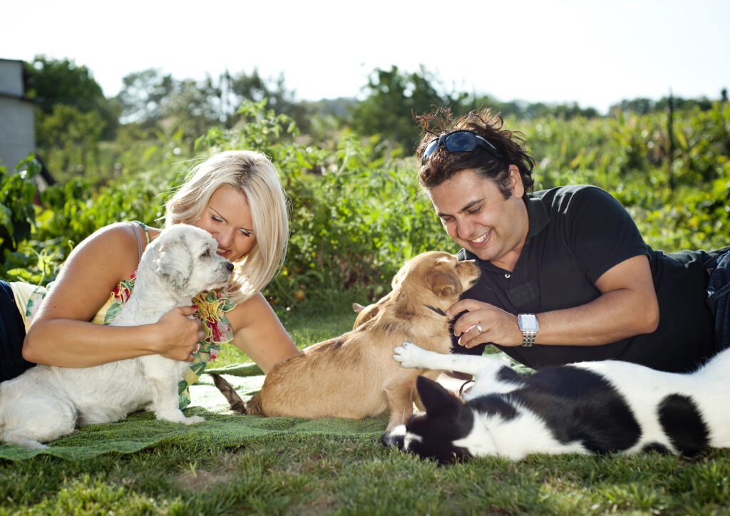 The Ultimate Guide to Dog-Friendly Events: Socialization, Benefits, and ...